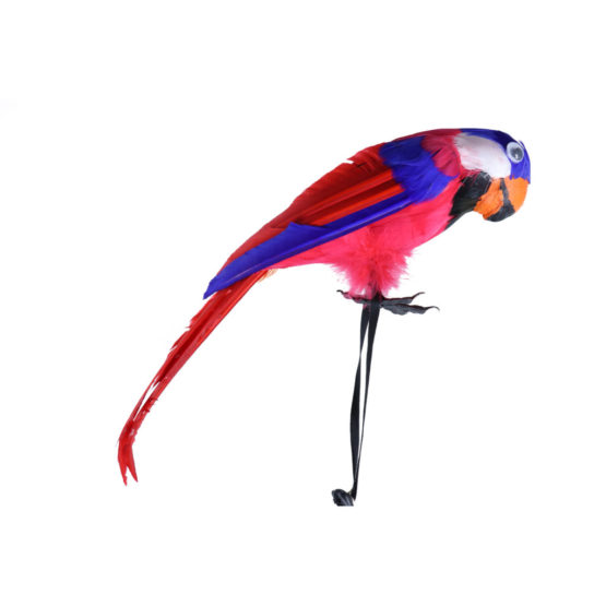 Parrot, Shoulder – A Masquerade Costume