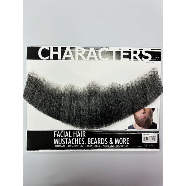 Beard, Lincoln – A Masquerade Costume